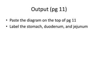 Notes accessory organs digestive system | PPTX