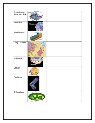 Notes cell and microscope | DOC
