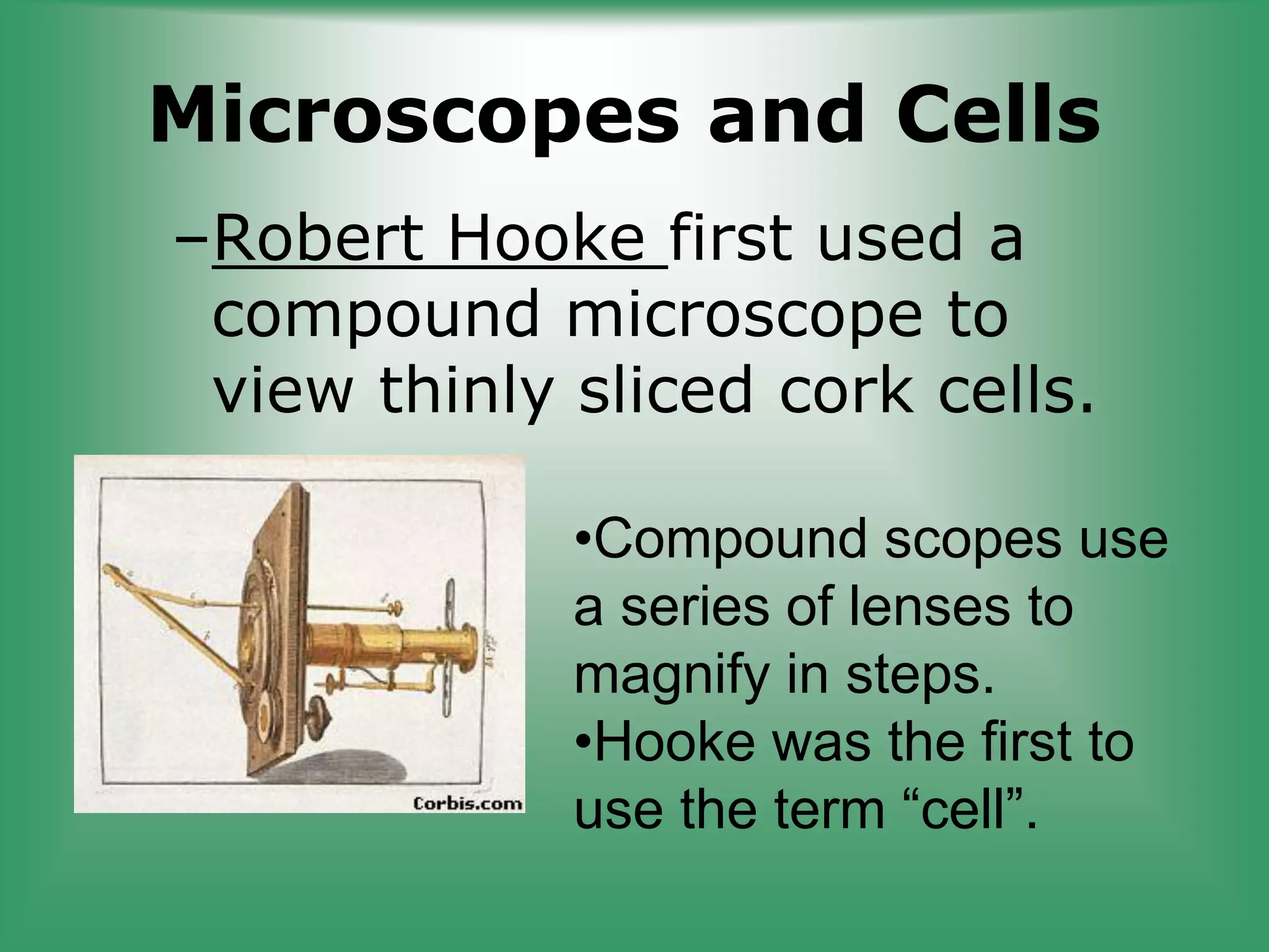 NOTES Cell Structure and Function.pdf