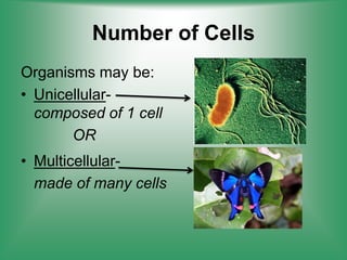 NOTES Cell Structure and Function.pdf