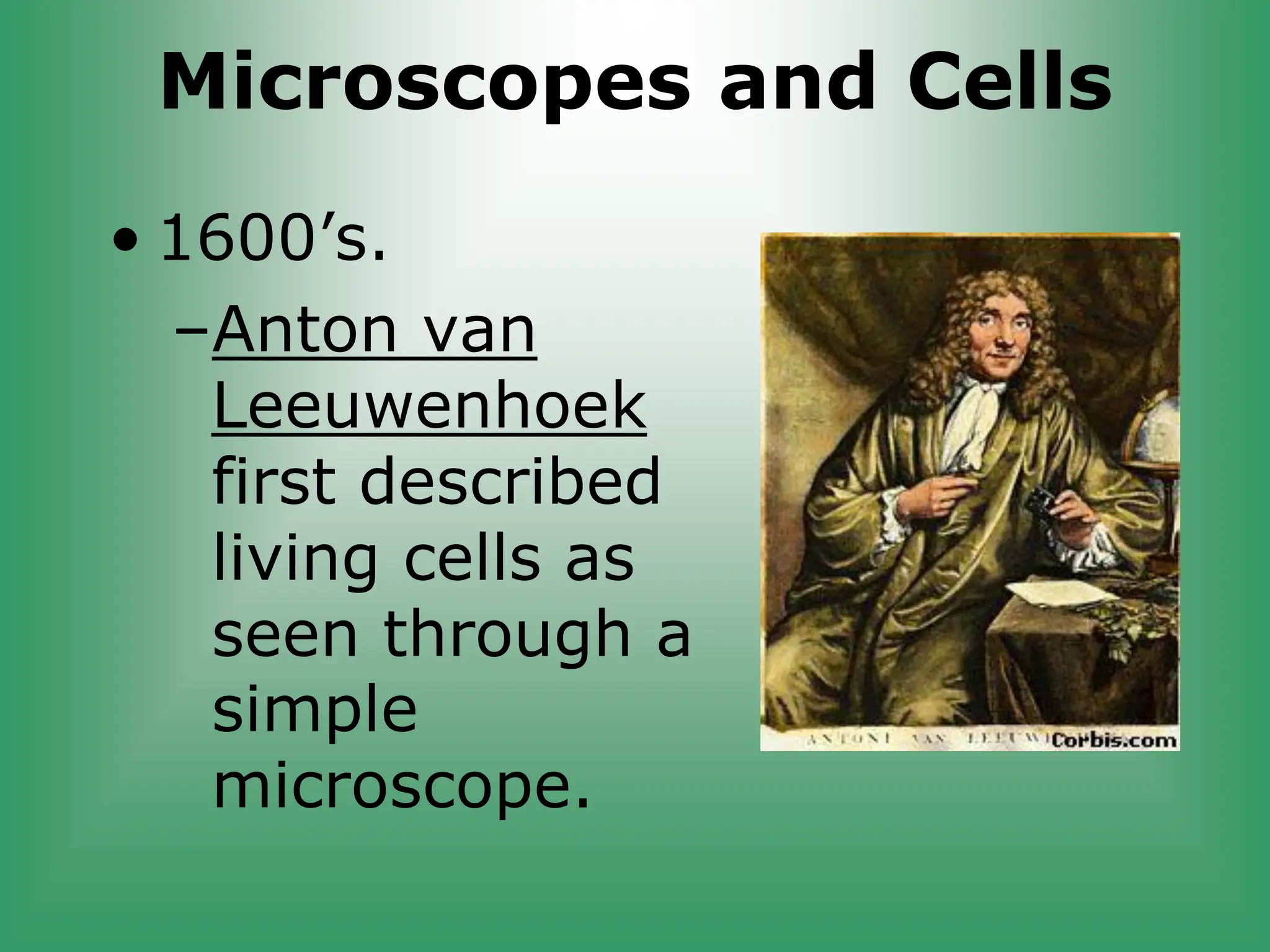 Notes Cell Structure and Function.slide share pdf | PDF