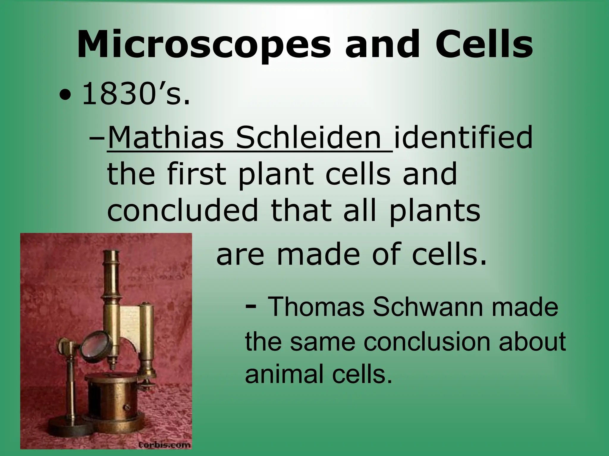 Notes Cell Structure and Function.slide share pdf | PDF