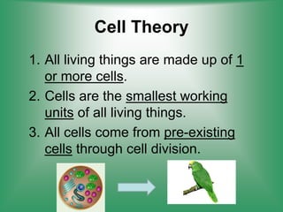 Notes Cell Structure and Function.slide share pdf | PDF