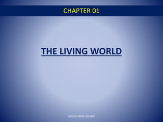 THE LIVING WORLD CLASS 11 BIOLOGY | PPTX