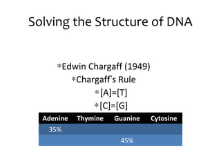 Notes ch12 DNA | PPT