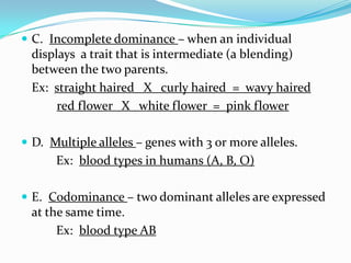 Notes chapter 8 | PPT