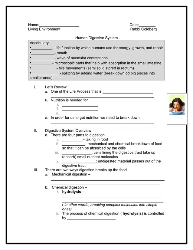 Notes digestive system | DOC | Digestive Disorders | Diseases and ...