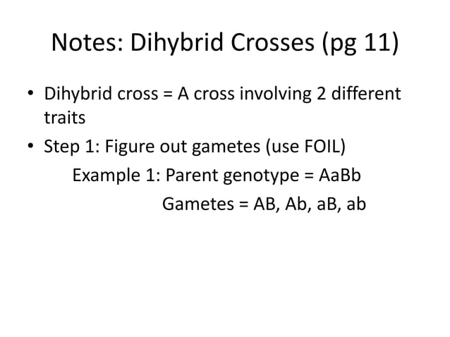 Notes dihybrid crosses | PPT