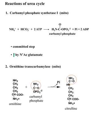 notes for amino acids nd their classification .ppt