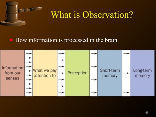 (Notes) Forensics overview & observation (1).pptx