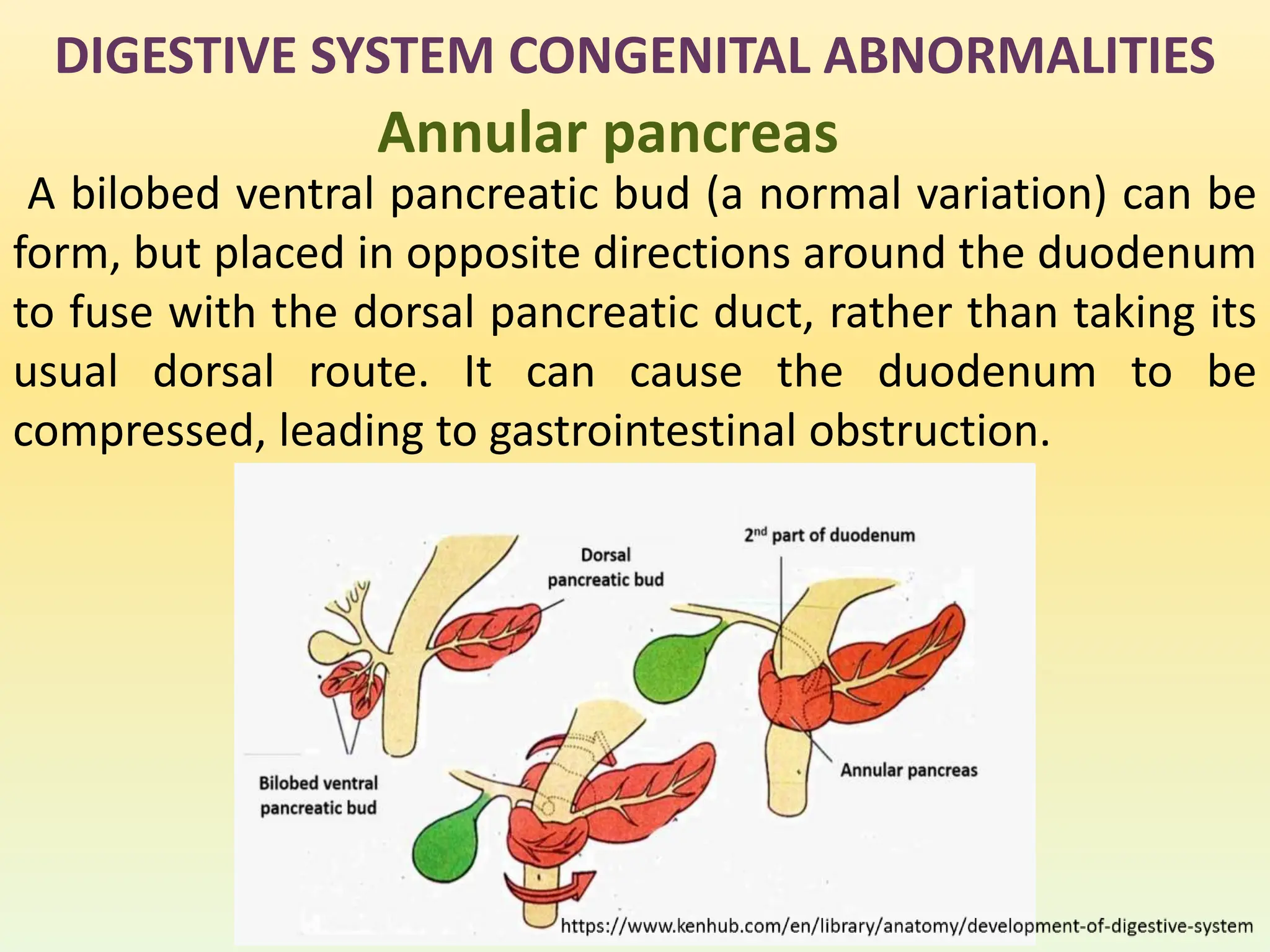 Digestive system in children, semiotics of the digestive organ.pptx