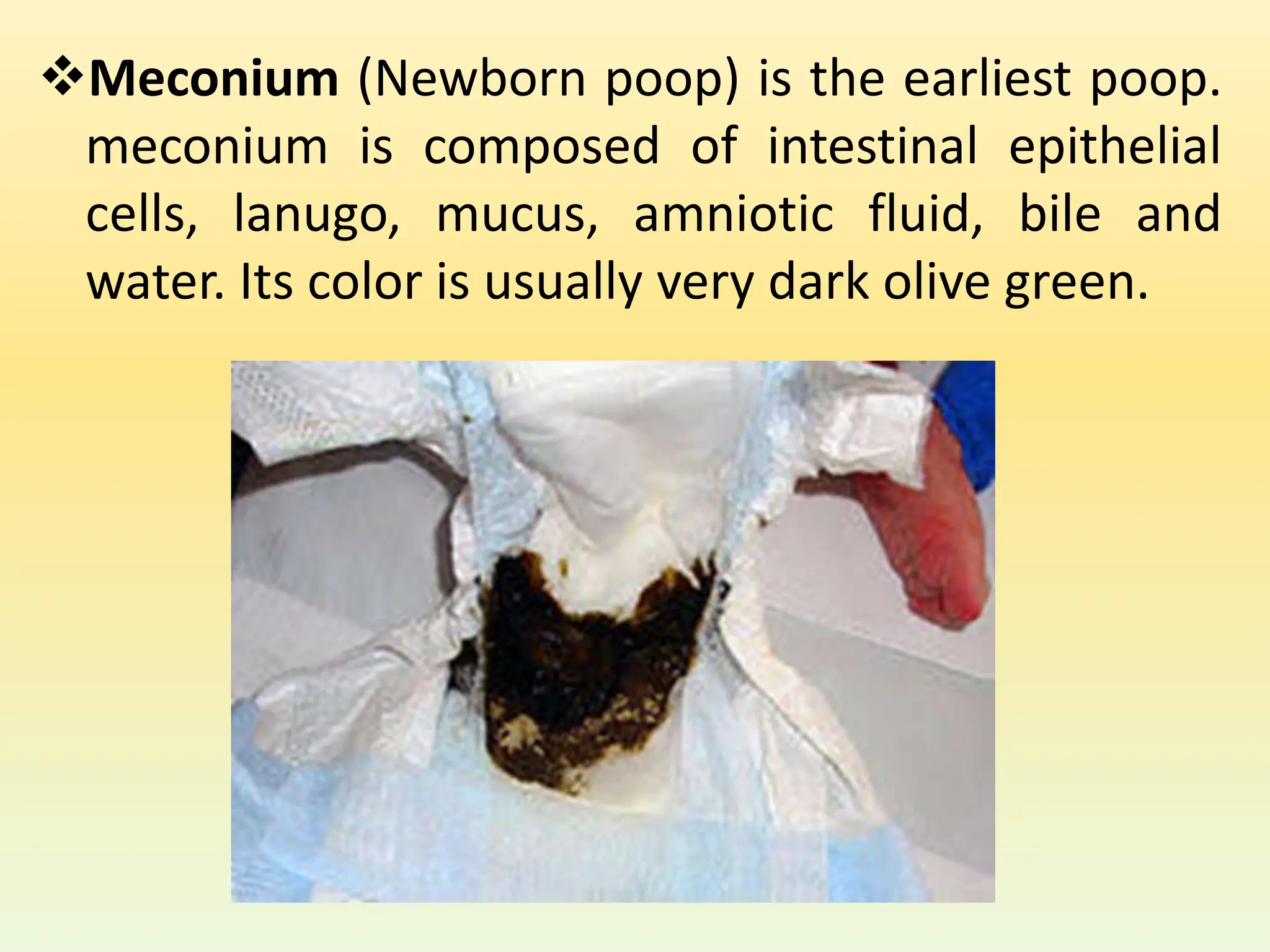Digestive system in children, semiotics of the digestive organ.pptx