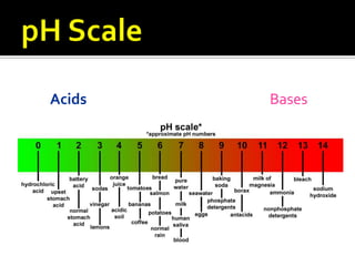 Notes gb lab 09 colorful chemicalp h scale | PPTX
