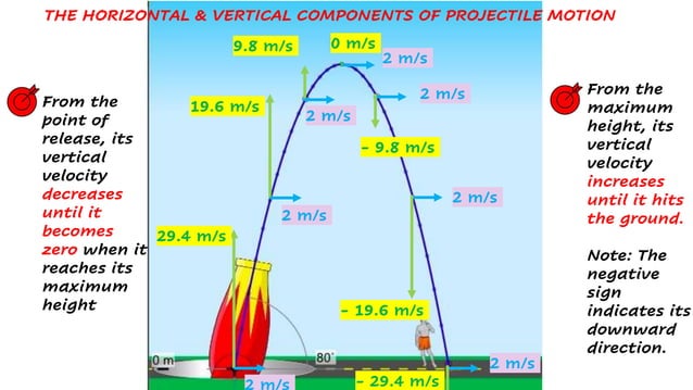 Projectile Motion at an Angle || Grade 9 Physics || Physics Notes ...
