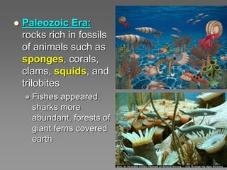 Notes history of life on earth - gts | PPTX