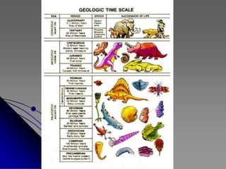 Notes history of life on earth - gts | PPTX