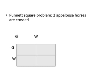 Codominance Punnett Square