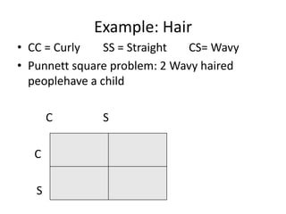 Incomplete Dominance Vs Codominance Punnett Square