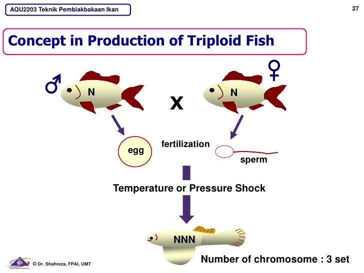 Notes lecture 2 aqu2203 201213