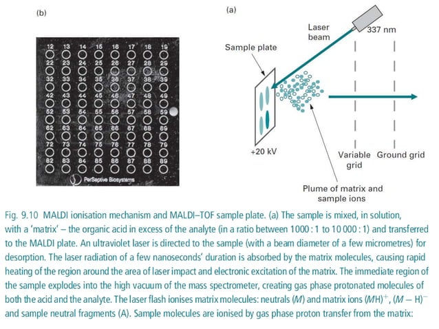 Fundamentals of Mass Spectrometry | PPTX | Chemistry | Science