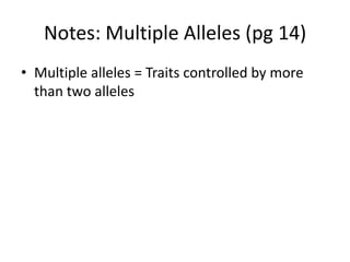 Notes multiple alleles | PPTX