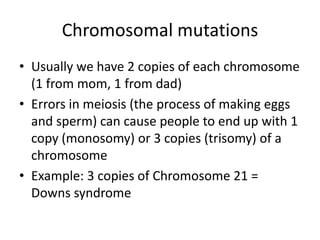 Notes mutations | PPT