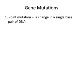 Notes mutations | PPT