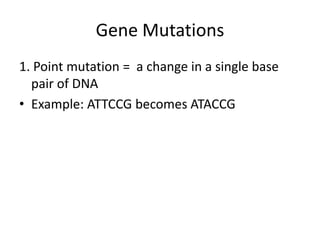 Notes mutations | PPT