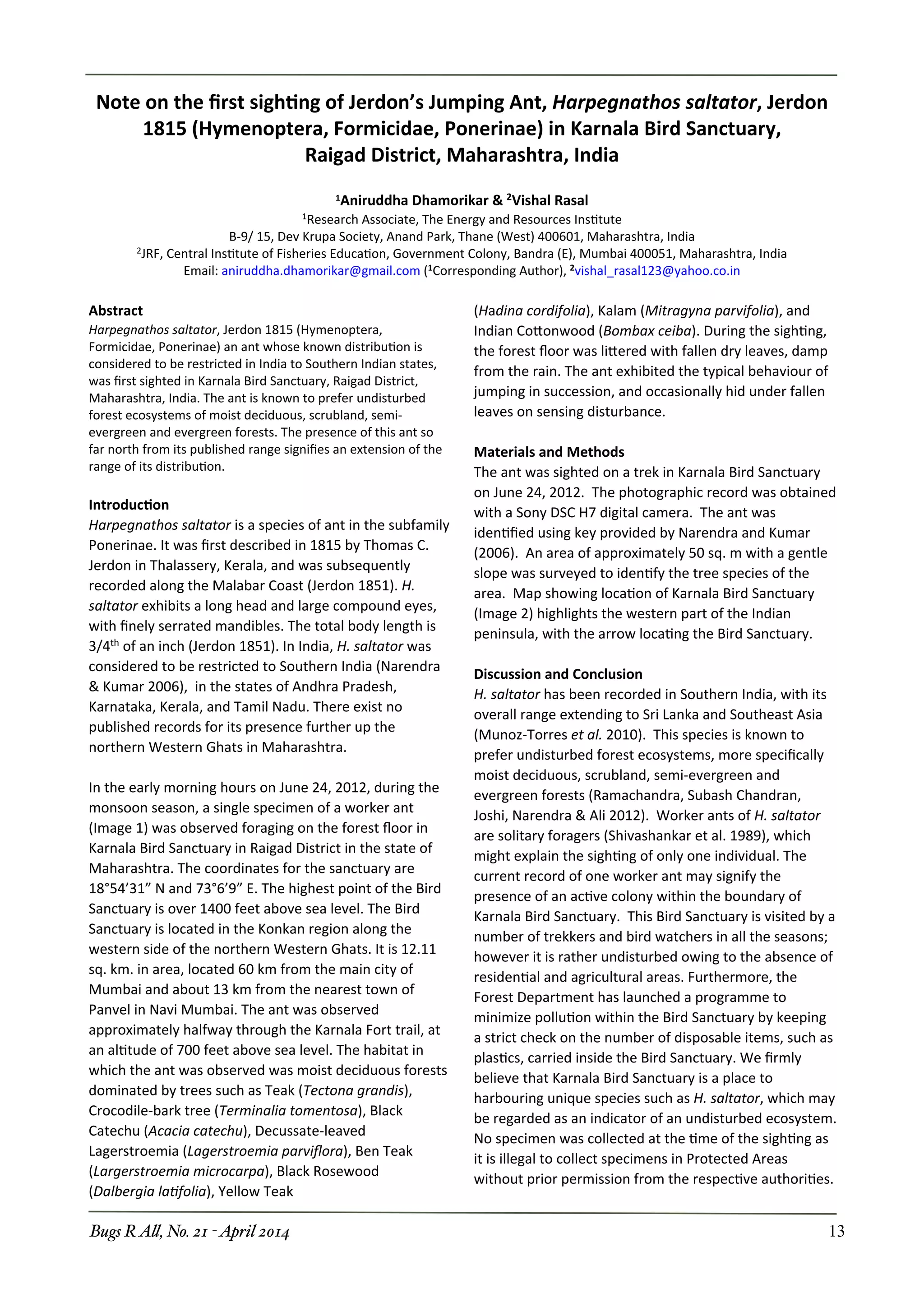 Jerdon's Jumping Ant in Karnala Bird Sanctuary | PDF