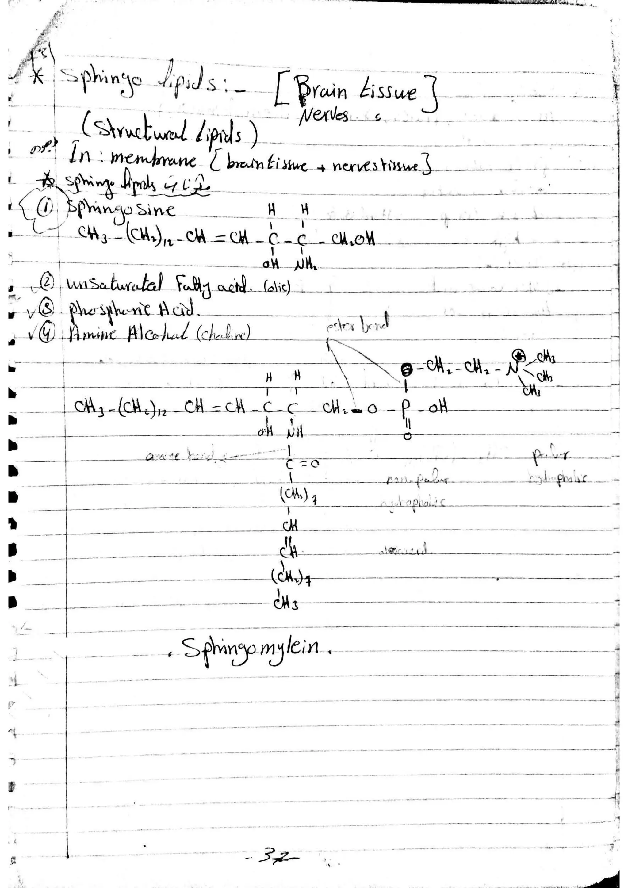 Notes on biochemistry | PDF