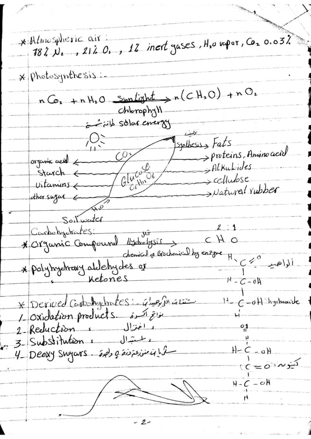 Notes on biochemistry | PDF