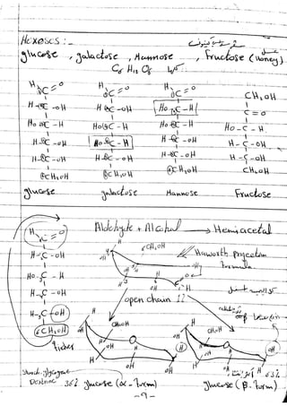 Notes on biochemistry | PDF