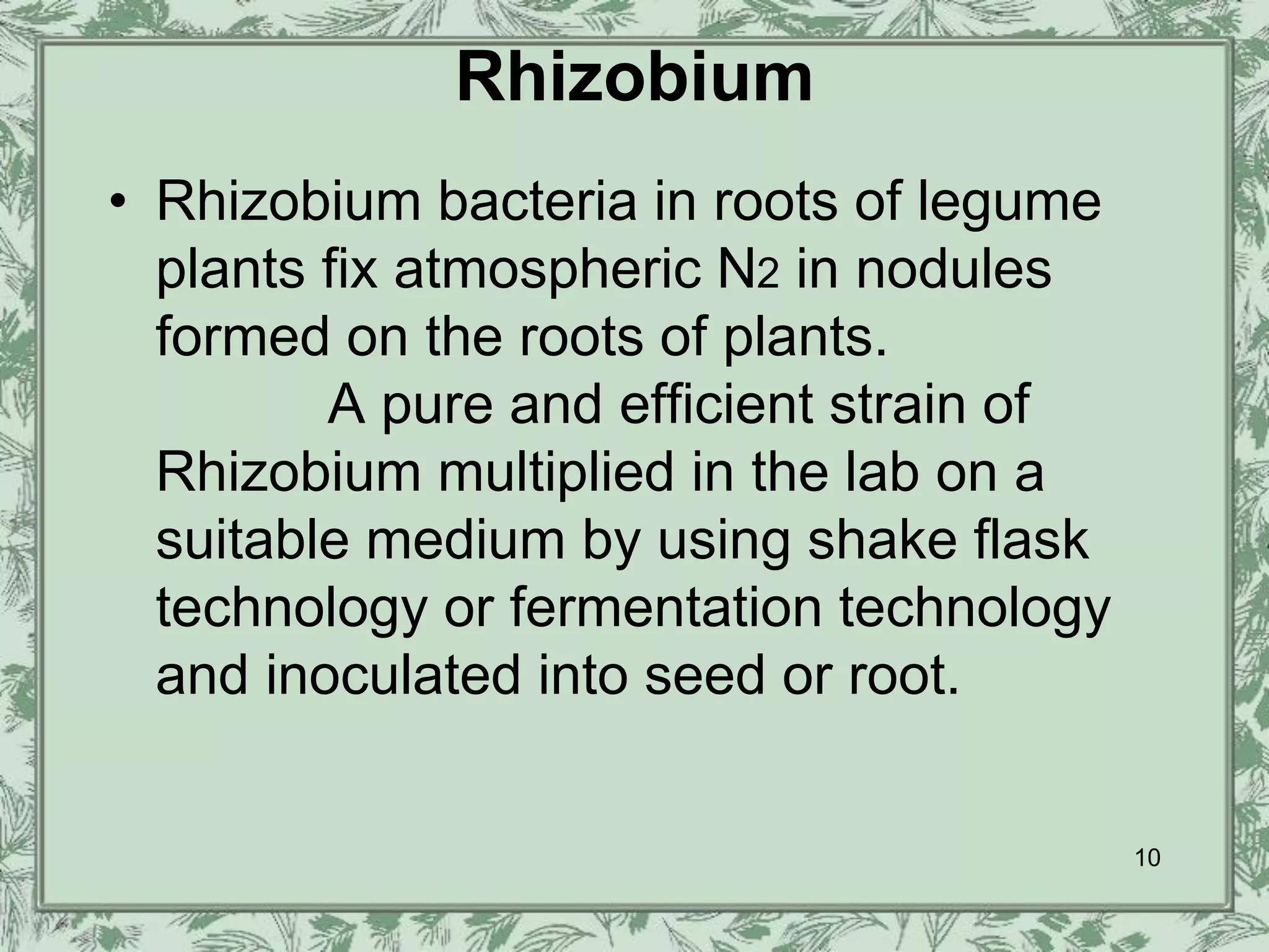 Notes on biofertilizer | PDF