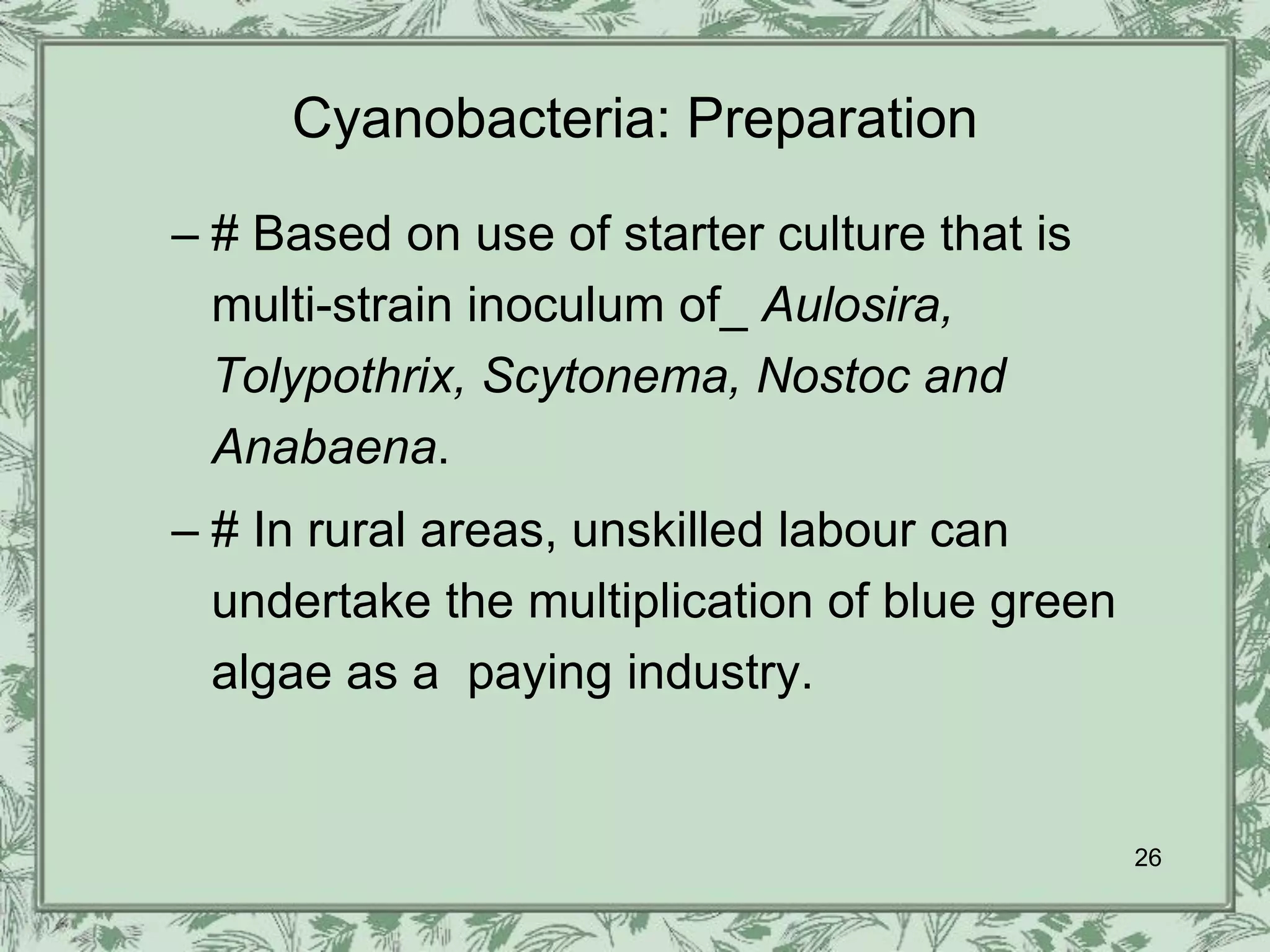 Notes on biofertilizer | PDF