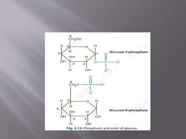 Carbohydrates And Monosaccharide Notes No# 1 | PPTX | Chemistry | Science