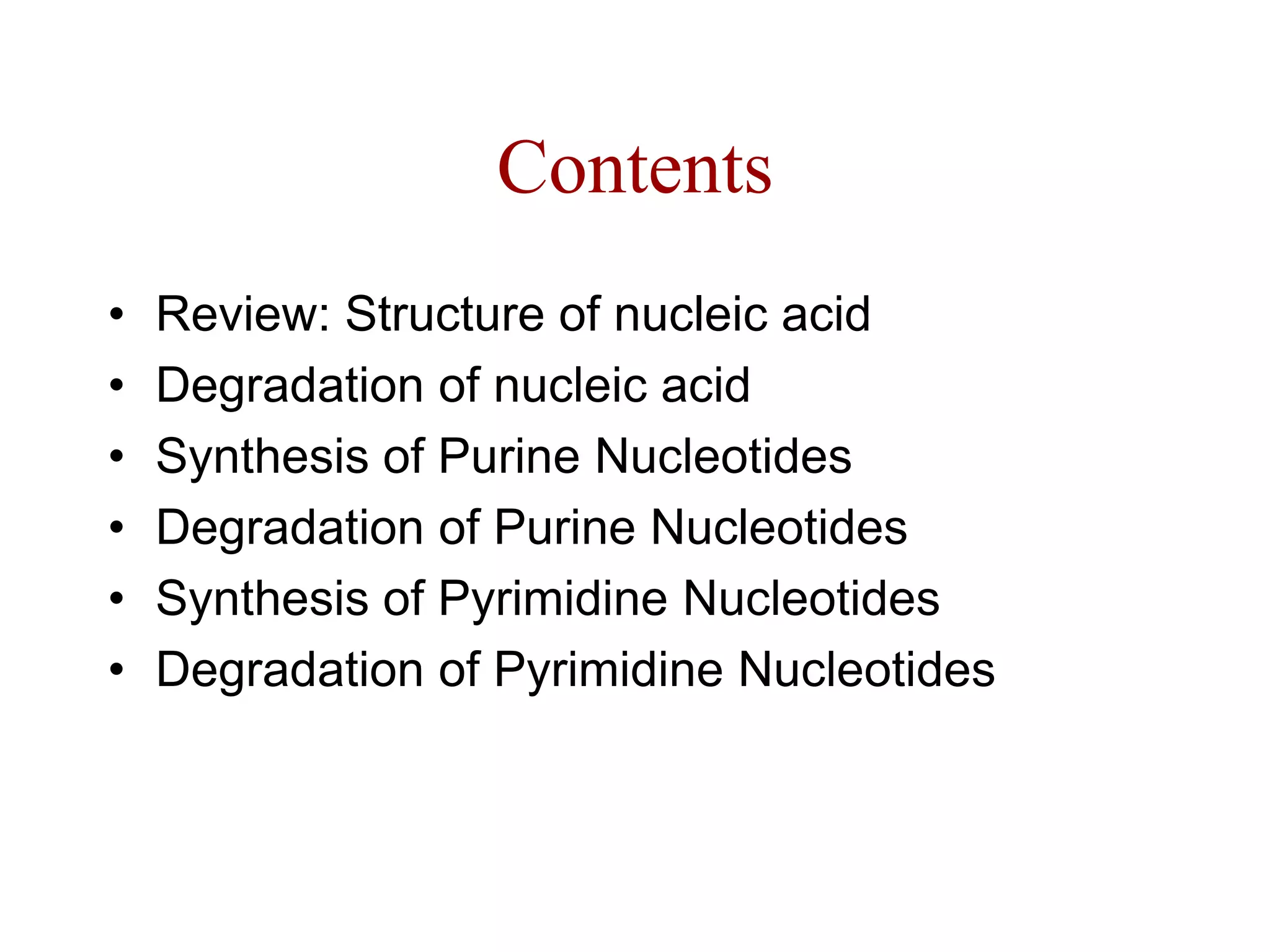 Notes on Nucleotides and Nucleic Acids.pdf