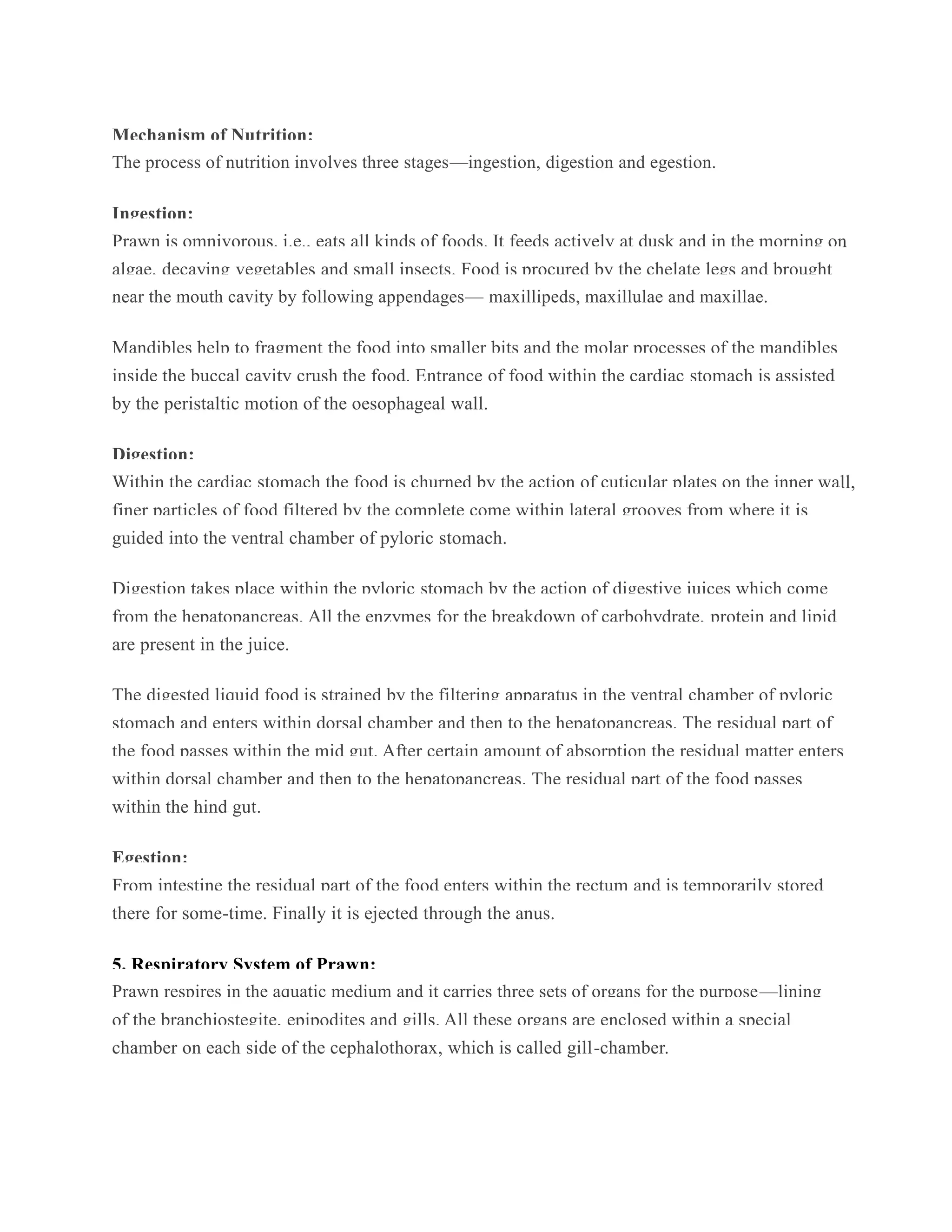 Notes on prawn | PPTX