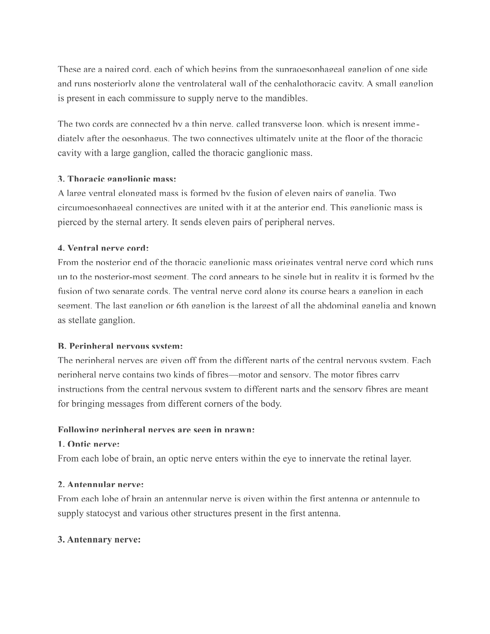 Notes on prawn | PPTX