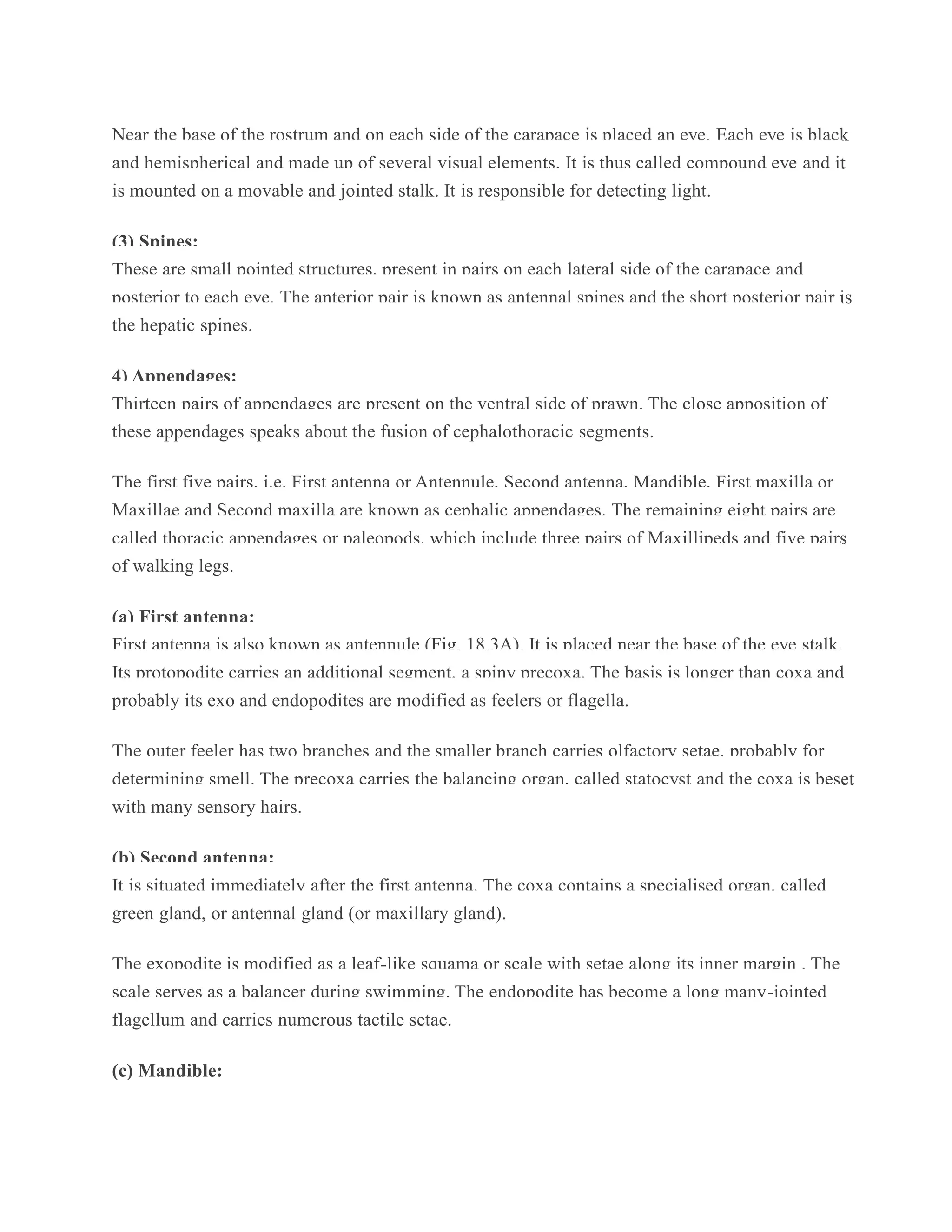 Notes on prawn | PPTX