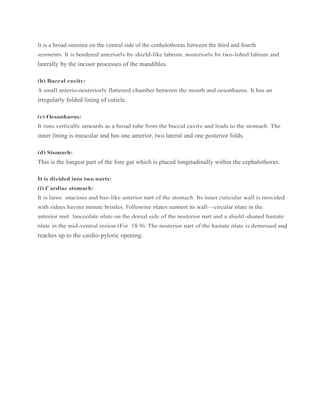 Notes on prawn | PPTX