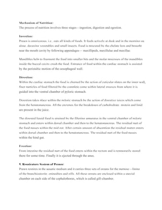 Notes on prawn | PPTX