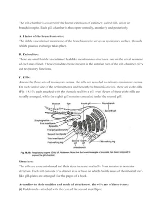 Notes on prawn | PPTX