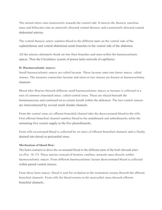 Notes on prawn | PPTX