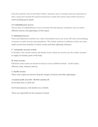 Notes on prawn | PPTX