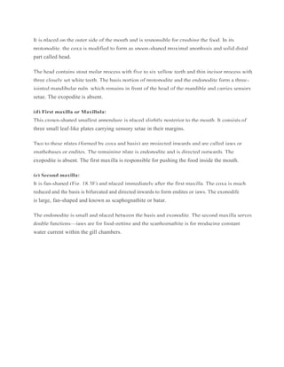 Notes on prawn | PPTX