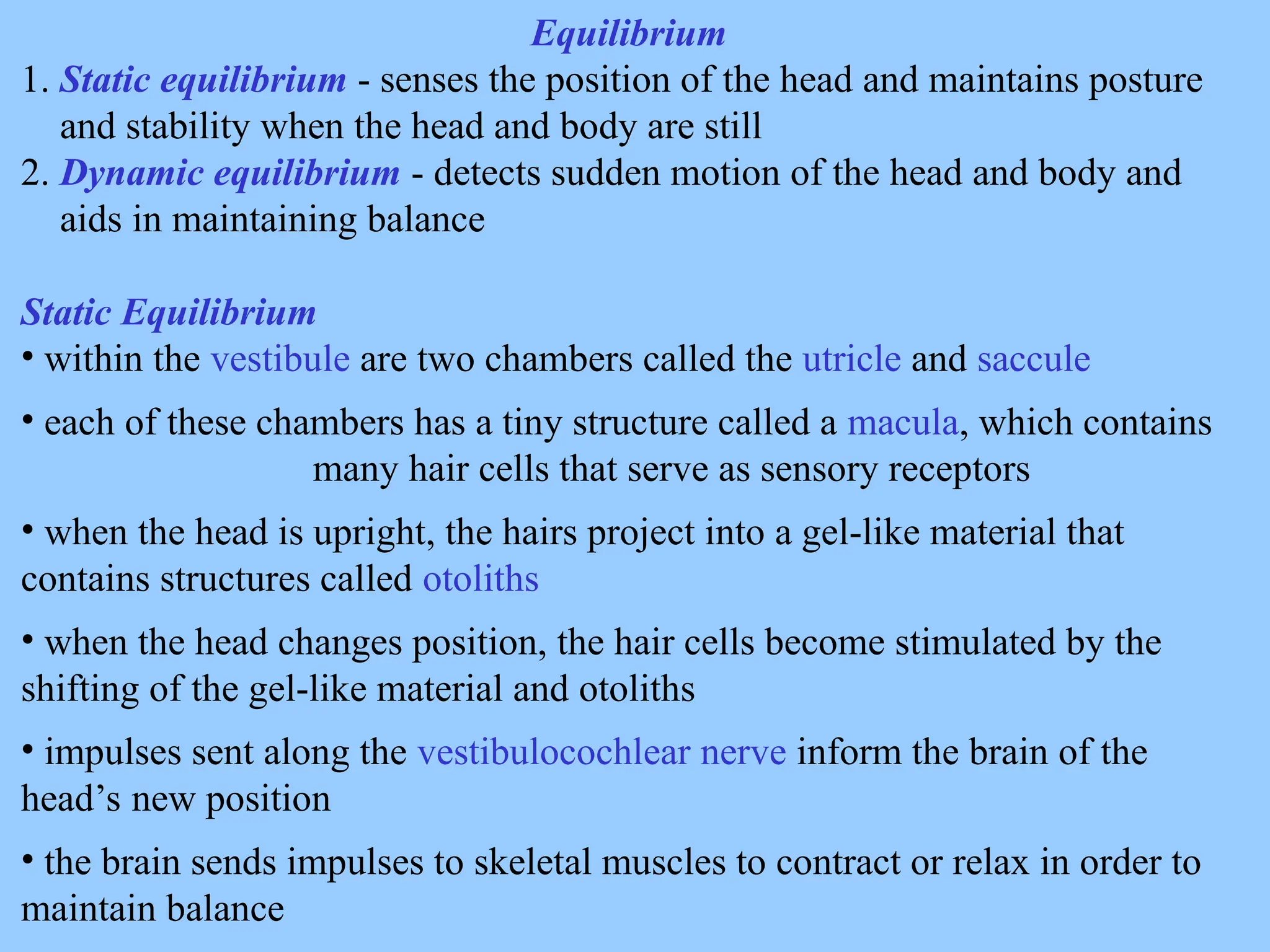 Notes on Senses .ppt