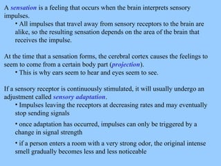 Notes on Senses .ppt