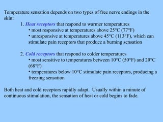 Notes on Senses .ppt