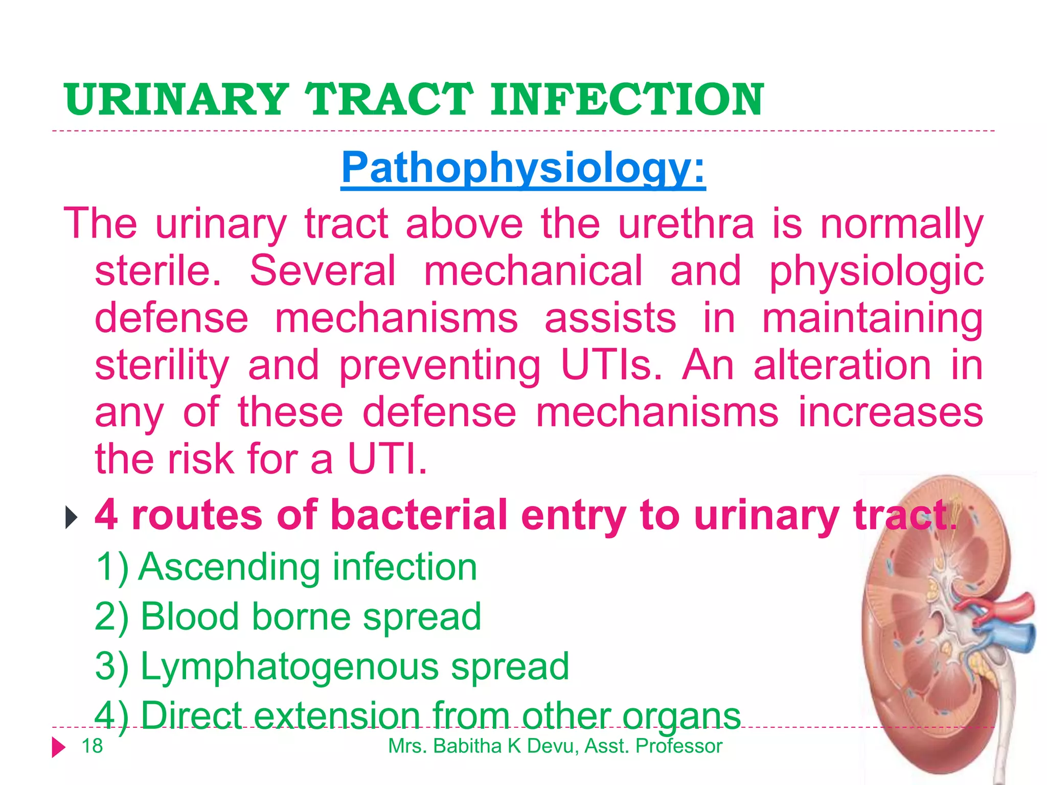 Notes on urinary disorders 1 | PPTX
