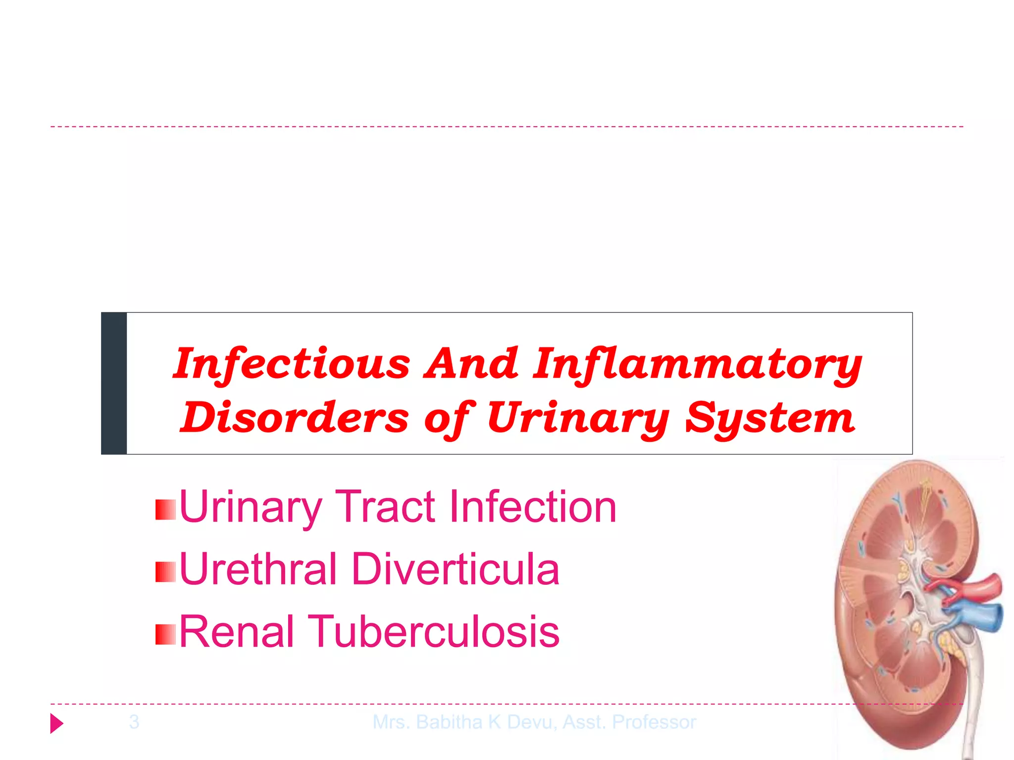 Notes on urinary disorders 1 | PPTX